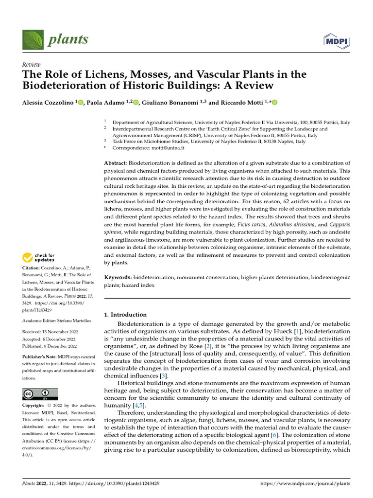 The Role of Lichens Mosses and Vascular Plants in | PDF | Weathering | Soil