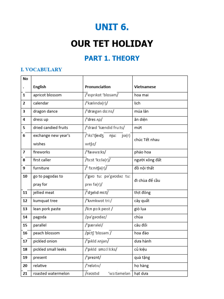 Unit 6. Our Tet Holiday | PDF