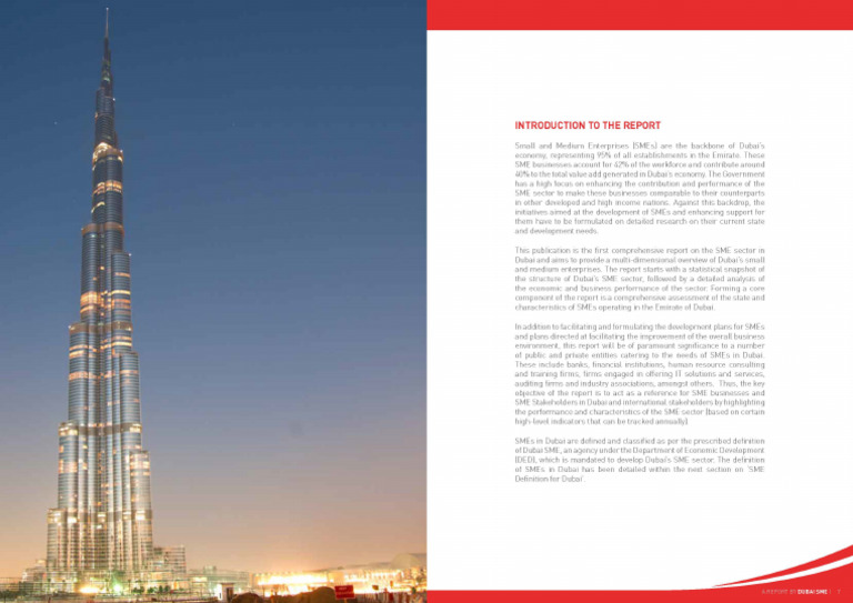 SME Report English Page 04 | PDF