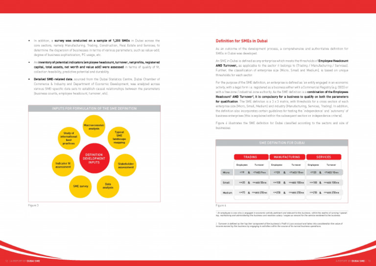 SME Report English Page 07 | PDF
