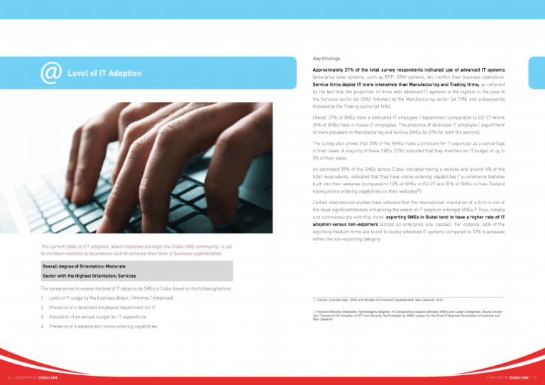 SME Report English Page 19 | PDF