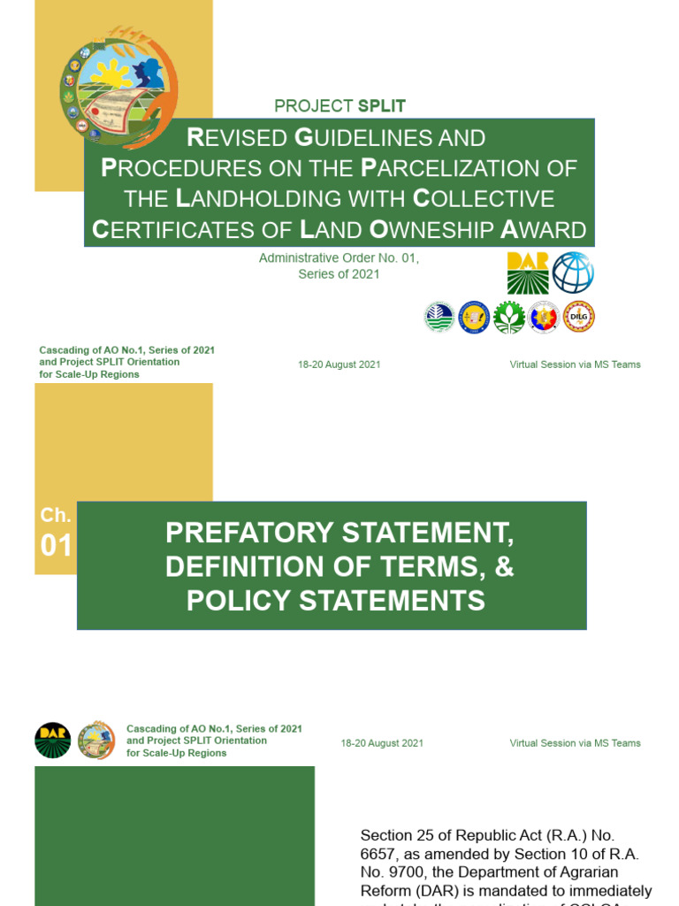 AO 1 Series of 2021: Parcelization Guidelines | PDF
