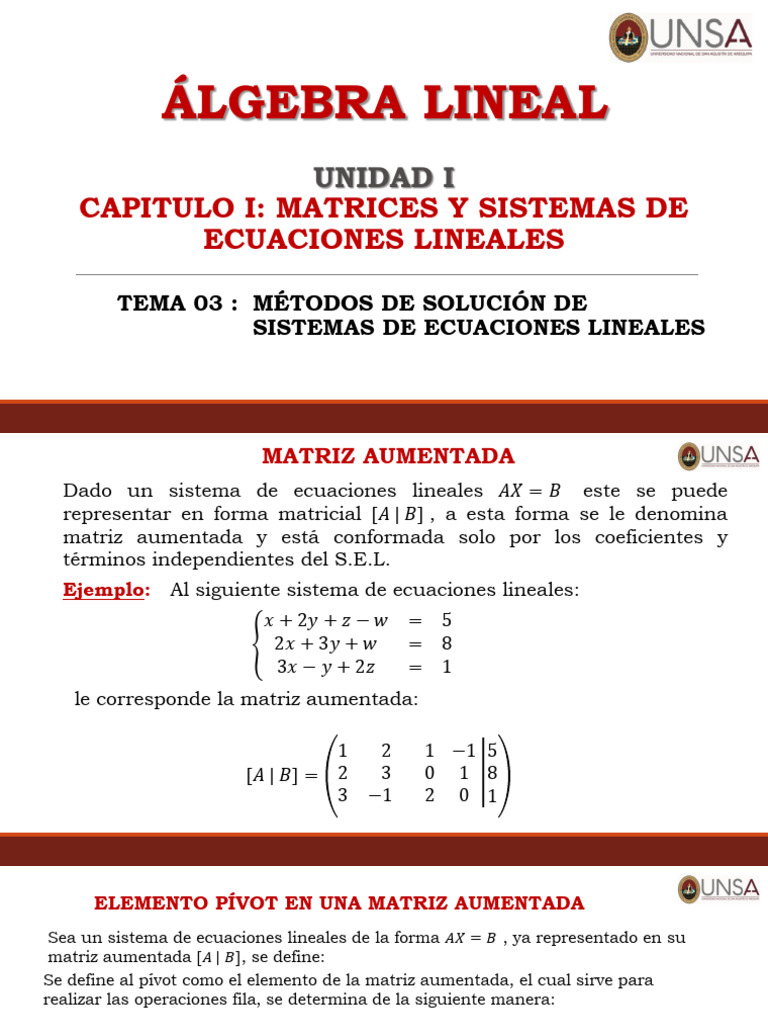 Álgebra Lineal: Capitulo I: Matrices Y Sistemas de Ecuaciones Lineales ...