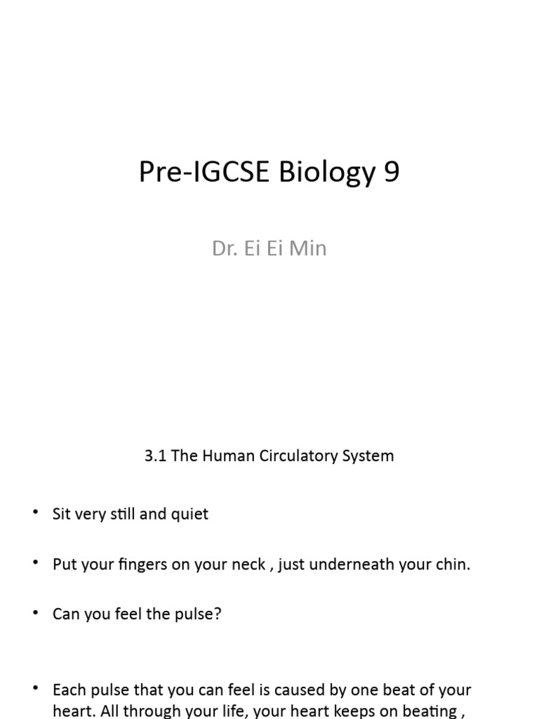 Understanding the Human Circulatory System | PDF