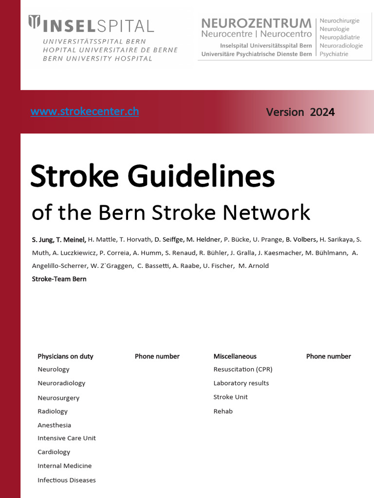 Bern Stroke Guideline 2024 | PDF | Stroke | Thrombosis