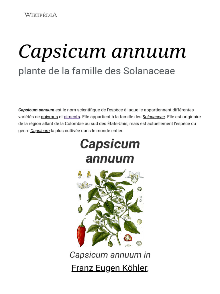 Capsicum annuum : Piments et Poivrons | PDF | Piment | Herbes et épices