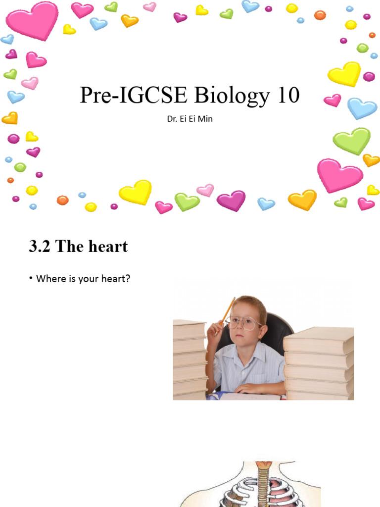 Year 8 Biology (The Heart) | PDF | Heart | Artery
