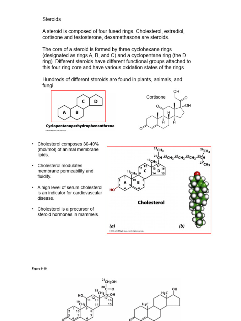 13 Lipids Steroids Pdf Steroid Cortisol