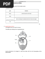 Grade 7 Biology: Cell Basics Quiz | PDF