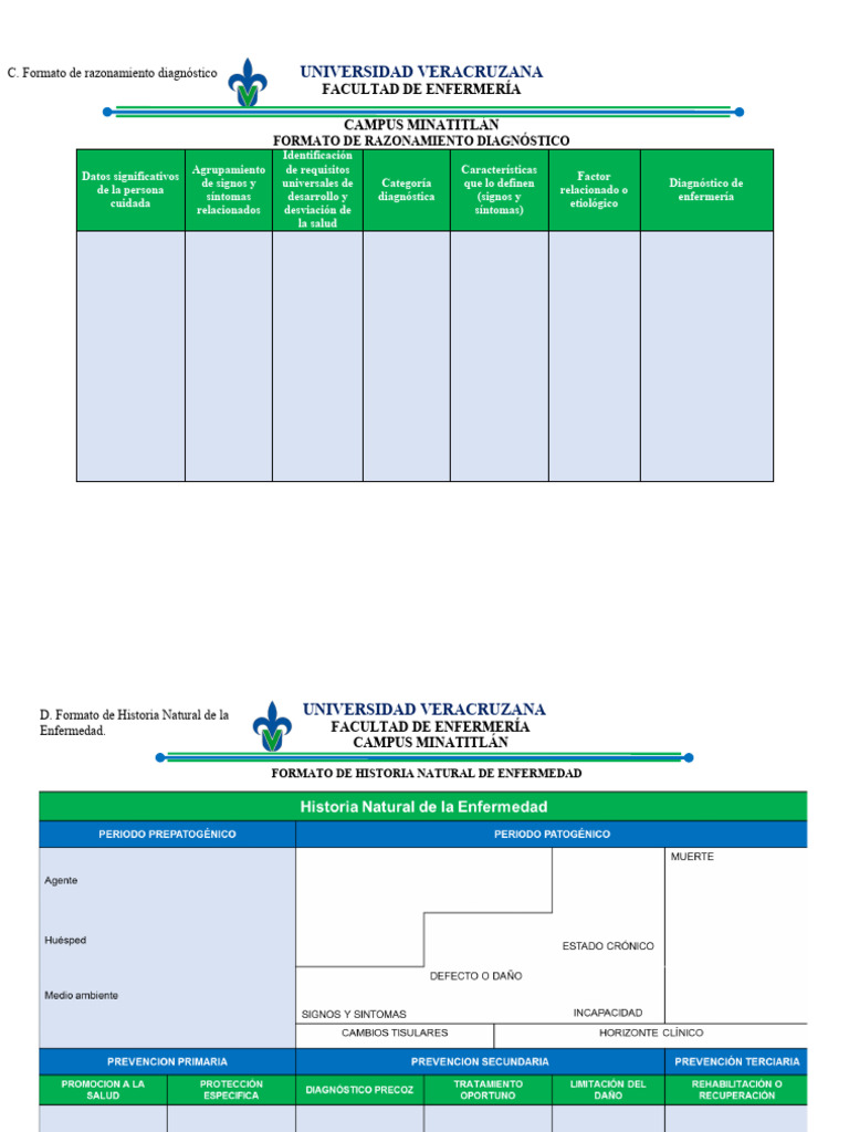 Formato PLACE UV 2022 | PDF | Enfermería | Ciencias de la Salud