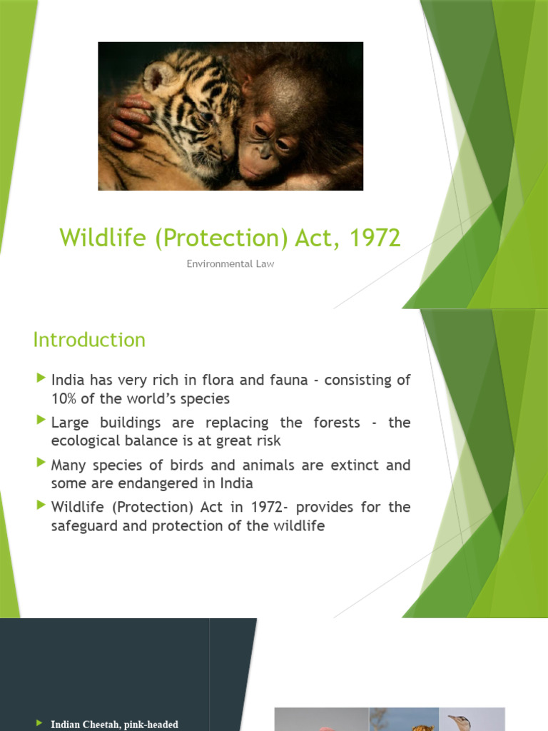 Wildlife Protection Act | PDF | Zoo | Endangered Species