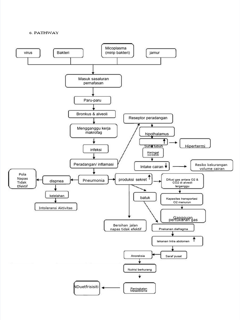 PDF Pathway Pneumonia | PDF