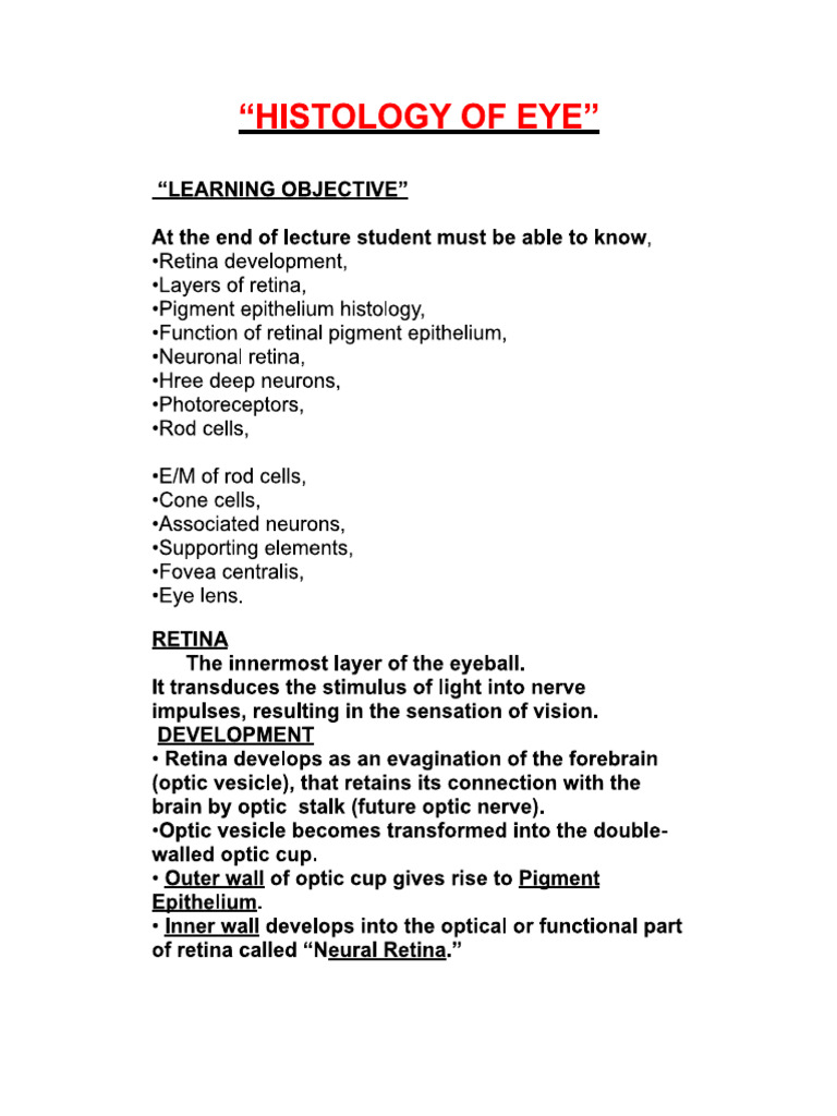 Histology of Eye | PDF