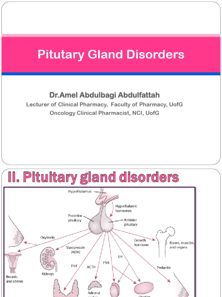 Pitutary | PDF | Self-Improvement | Wellness