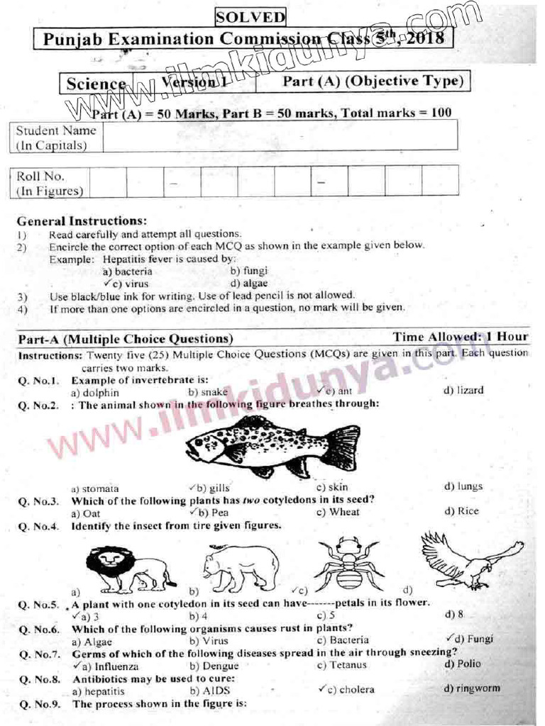 Punjab Examination Commission 5th Class Past Paper 2018 Science ...
