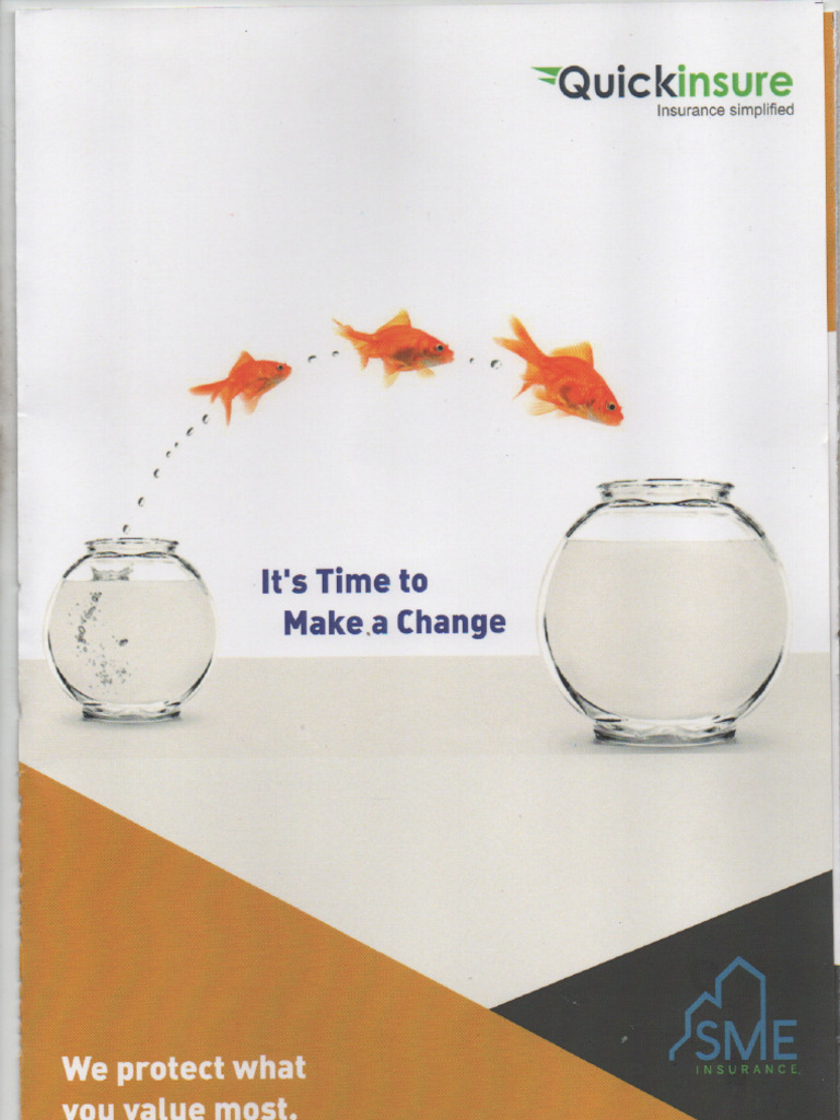 Sme Quick Scan | PDF