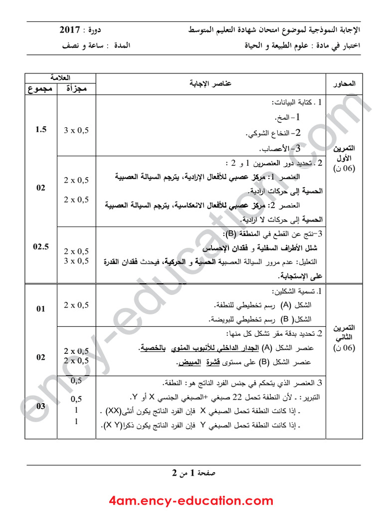 Bem2017 Sciences Correction | PDF