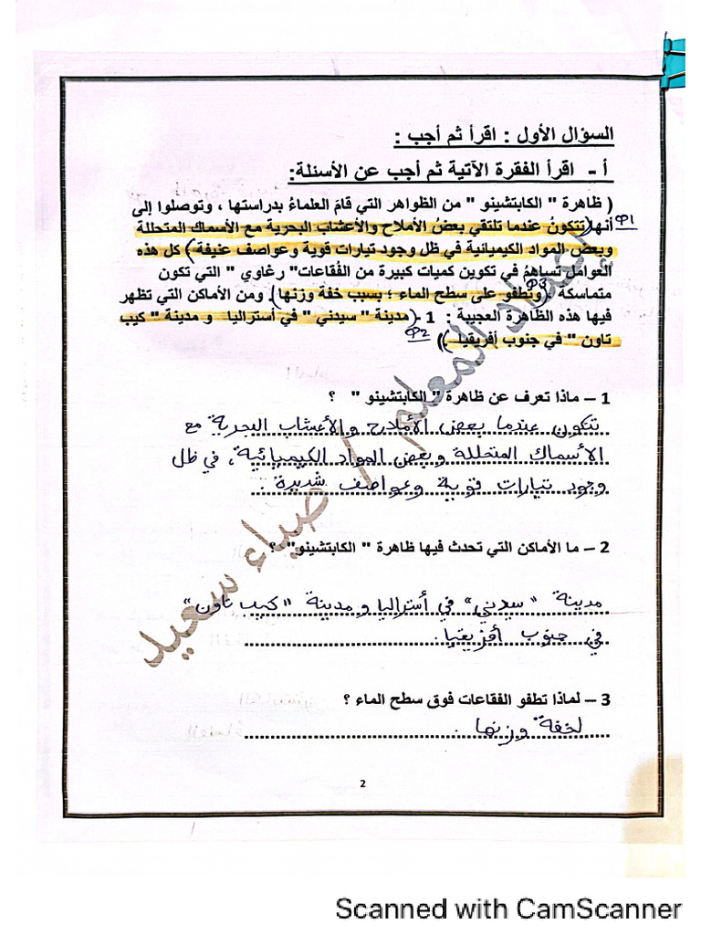 NMT Rev Wk Sheet (1) | PDF