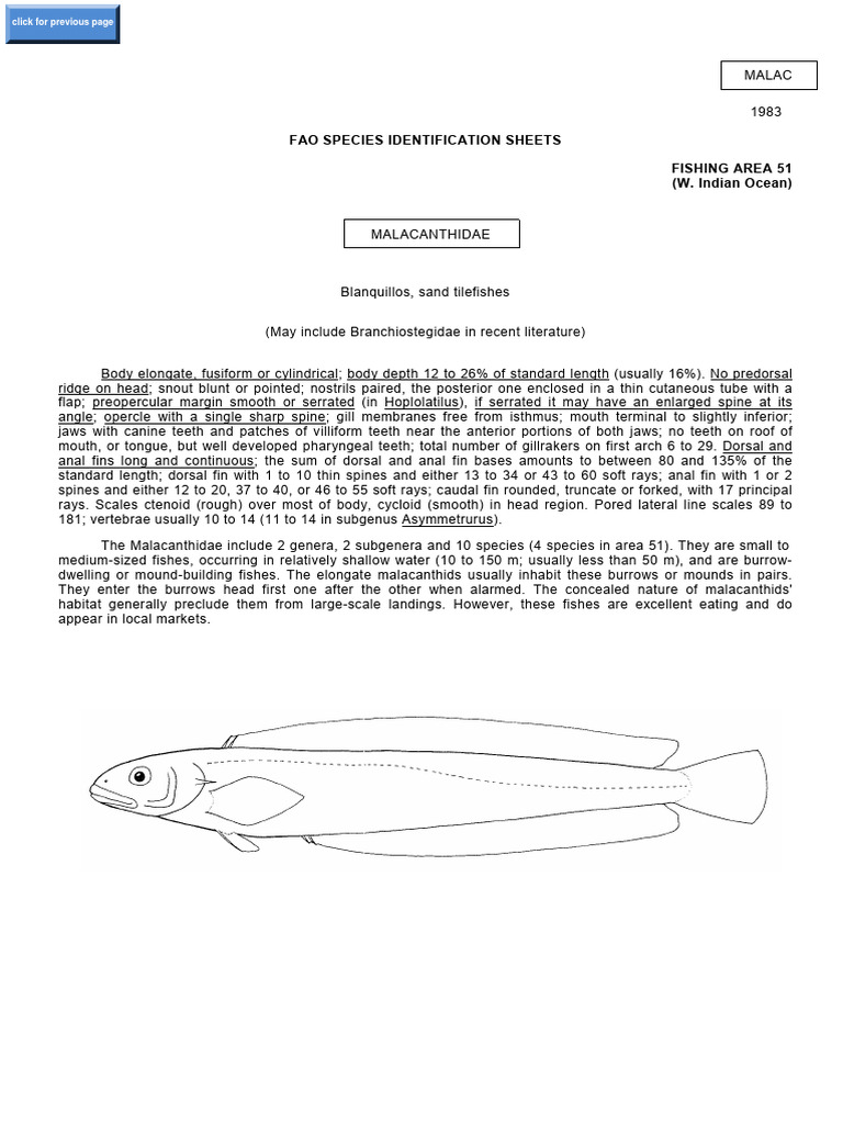 Fao Species Identification Sheets Fishing Area 51 (W. Indian Ocean ...