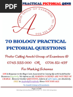 The Healing Pages Guided Journal | PDF