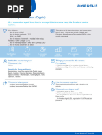 Amadeus Ticketing: Cryptic Commands Guide | PDF | Software | Computing