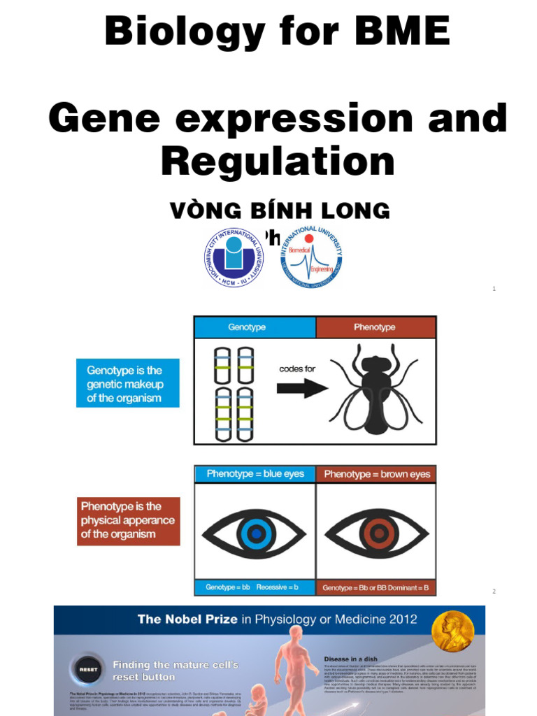Biology for BME - Gene Expression and Regulation | PDF | Gene | Regulation Of Gene Expression