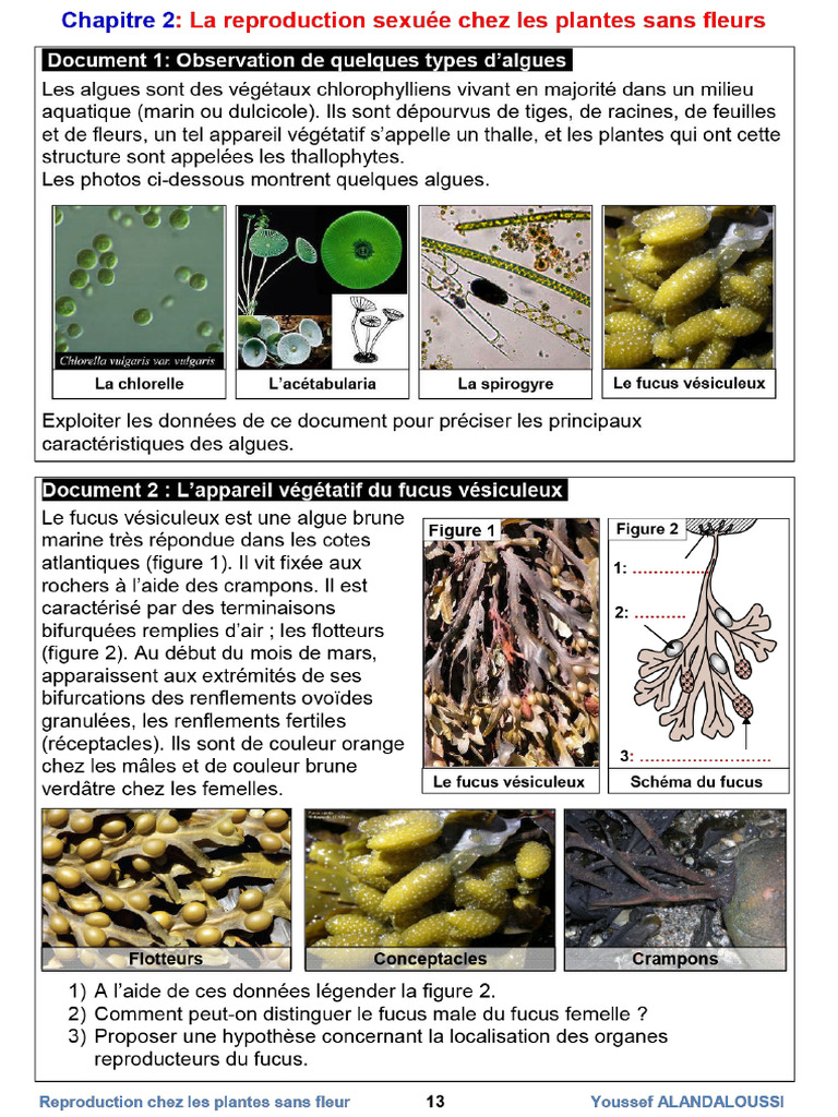 Documents TC SC Unit2 2 | PDF