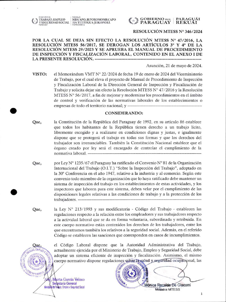 Resolucion MTESS N 346 2024-PROCEDIMIENTO DE INSPECCION Ligera | PDF ...