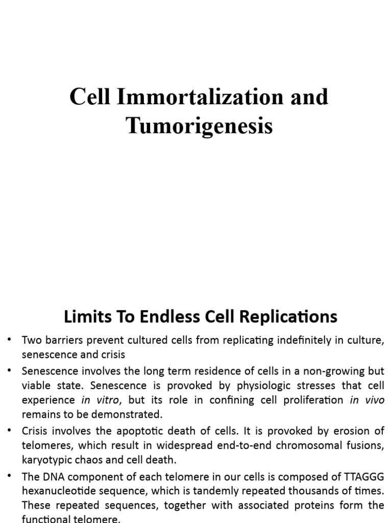 6 Cell Immortalization and Tumorigenesis | PDF | Primer (Molecular ...