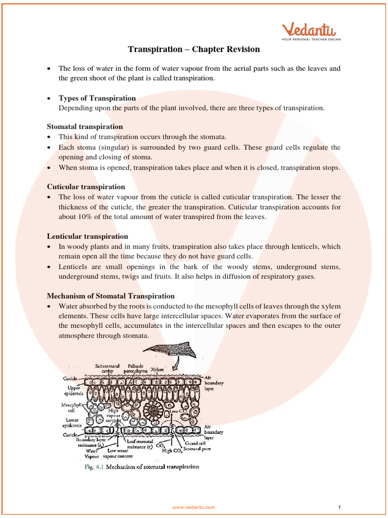 ICSE Class 10 Biology Chapter 5 - Transpiration Revision Notes | PDF ...