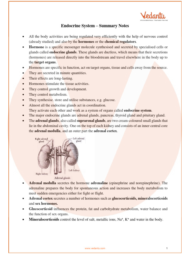 ICSE Class 10 Biology Chapter 10 - Endocrine Glands Revision Notes ...