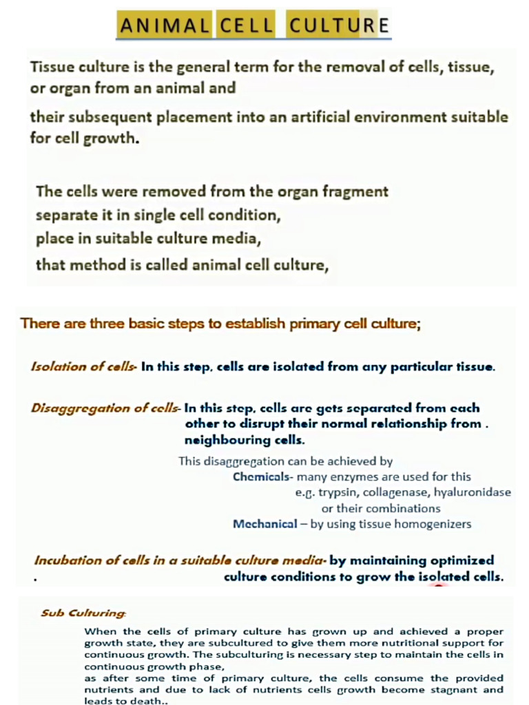 Animal Cell Culture & Application | PDF