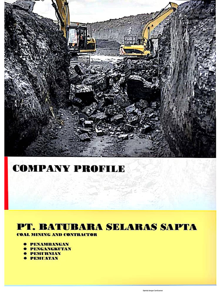 Sumary BSS 39000 Ha - 240601 - 202731 | PDF