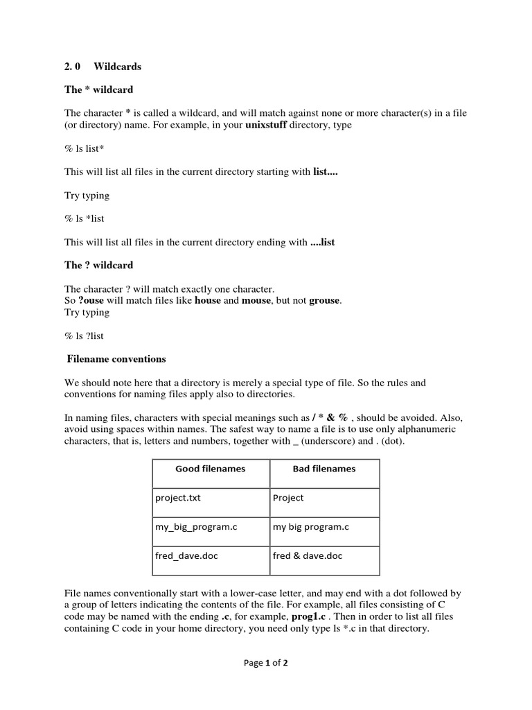 2 - Wildcards | PDF | Filename | Computer File