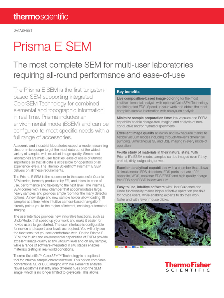 Bros Thermo Prisma e Sem | Download Free PDF | Scanning Electron ...
