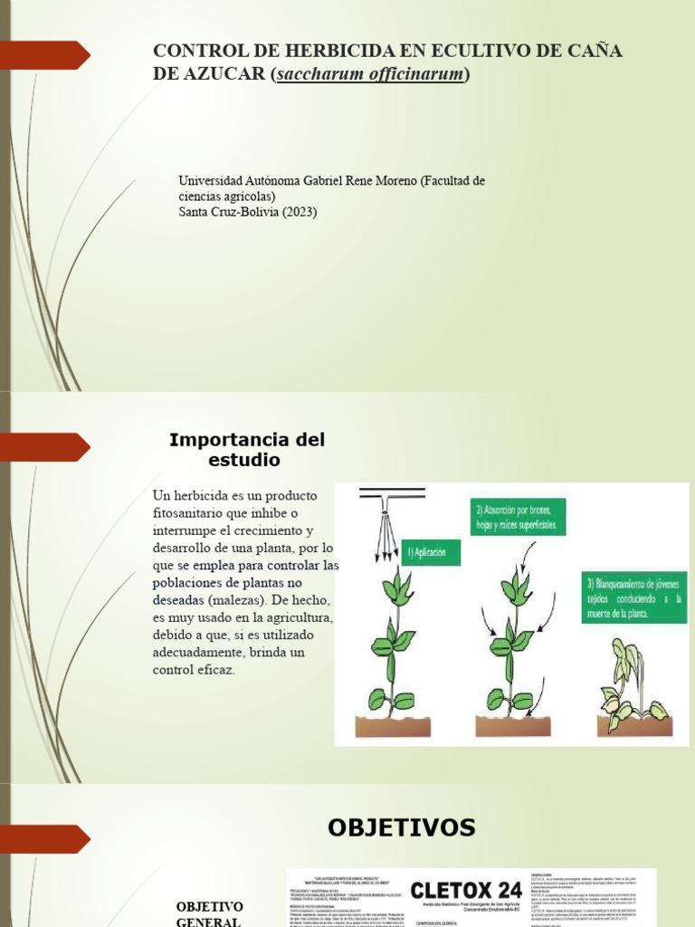 Control de Herbicida en Ecultivo de Caña de Azucar | PDF | Herbicida ...