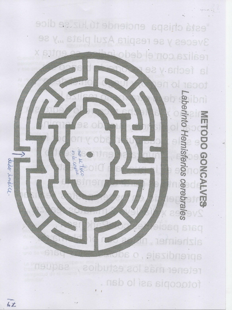 Laberinto Cerebral 1 | PDF