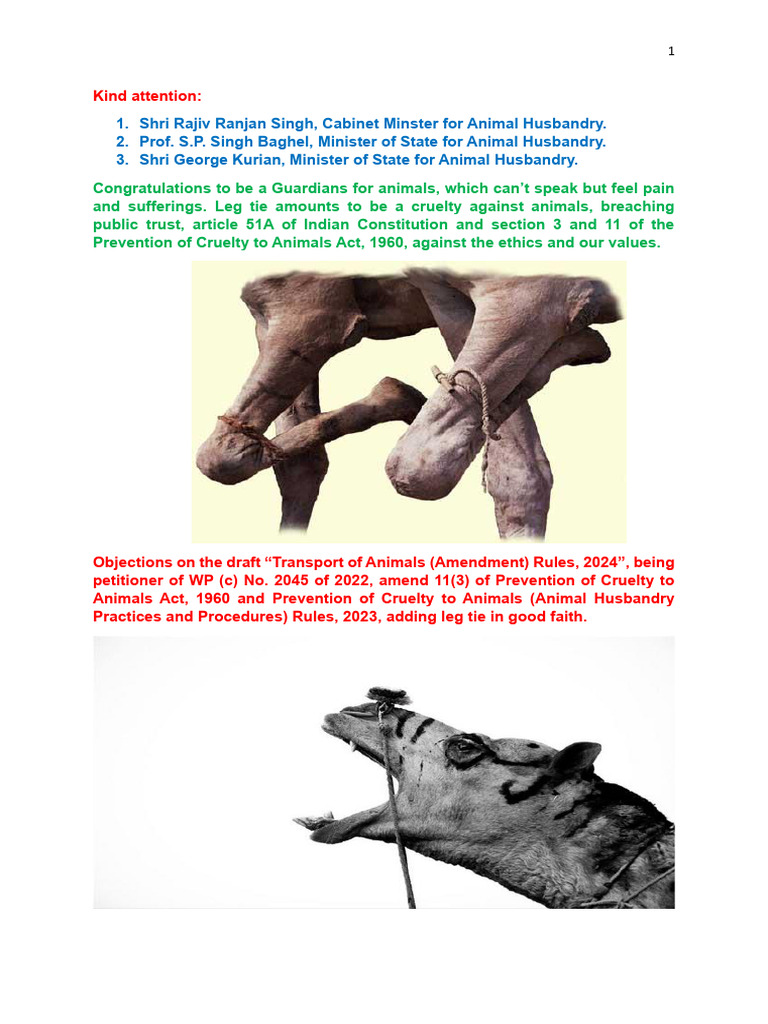 Memorandum: Objections On The Draft "Transport of Animals (Amendment ...
