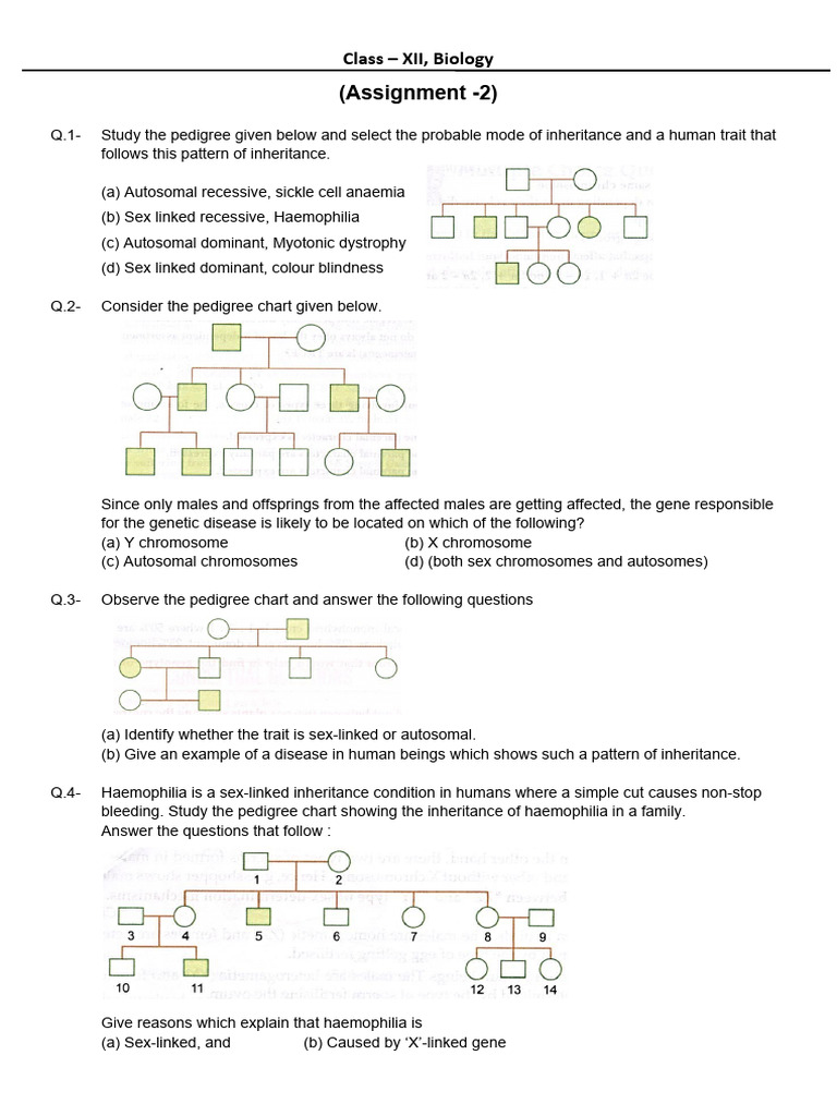 Assignment Biology Class 12 | PDF | Dominance (Genetics) | Genotype