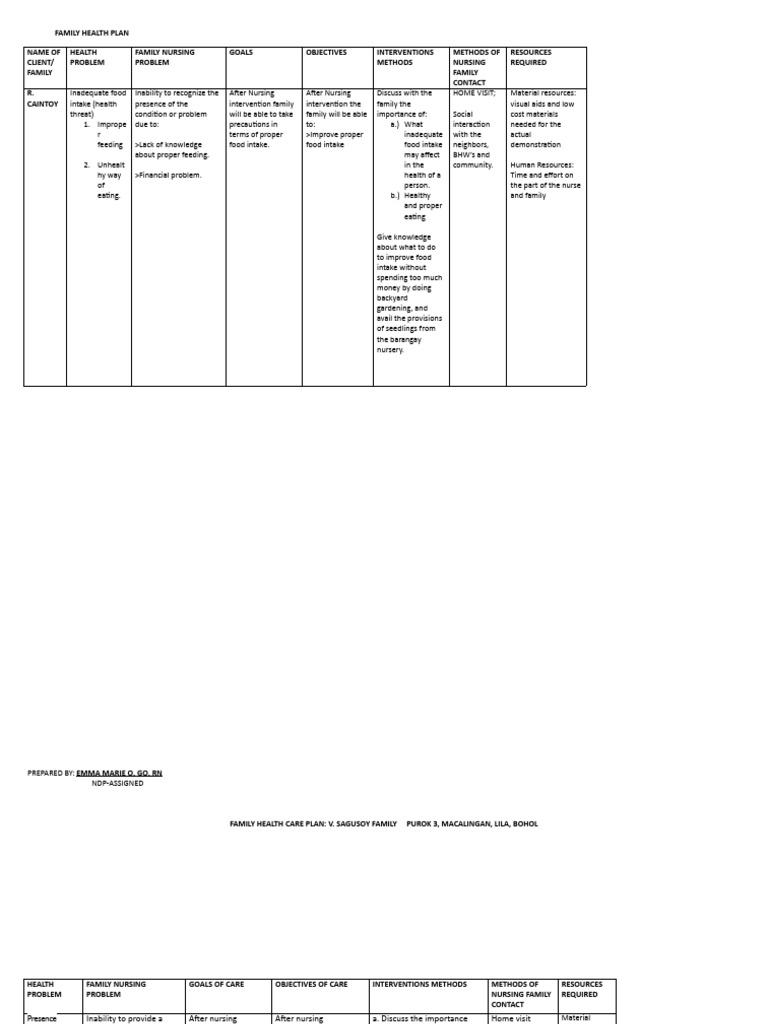 FHP 2024 | Download Free PDF | Nursing | Sanitation