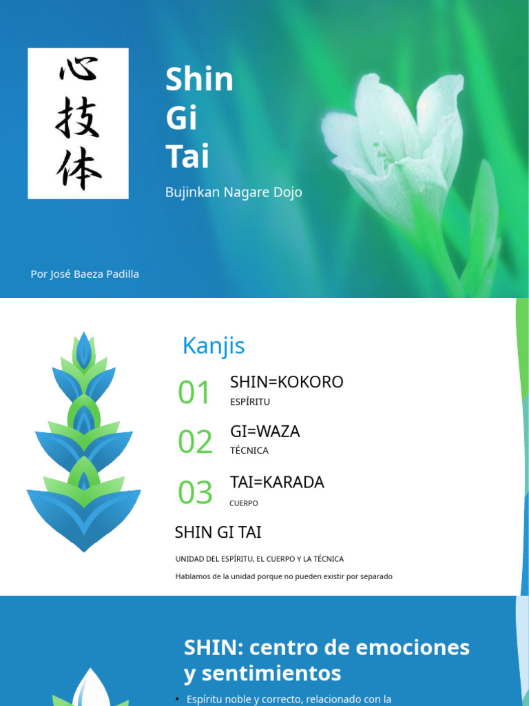 Shin Gi Tai | PDF | Yin y yang