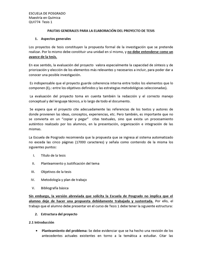 PAUTAS GENERALES PROY TESIS-191 | PDF | Teoría | Evaluación