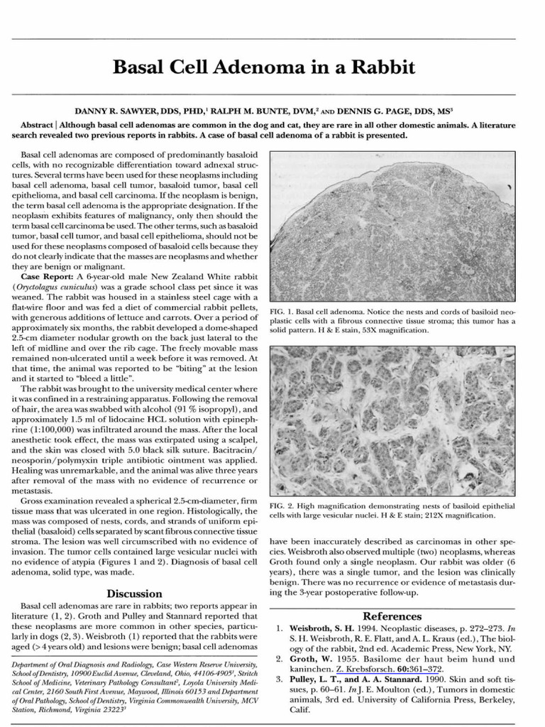 Basal Cell Adenoma in A Rabbit | PDF | Adenoma | Neoplasms