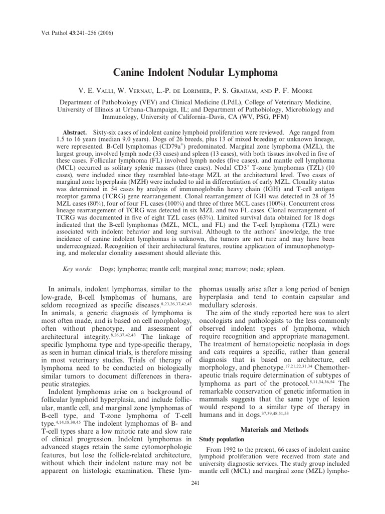 Canine Indolent Nodular Lymphoma | PDF | Gel Electrophoresis | Lymphoma