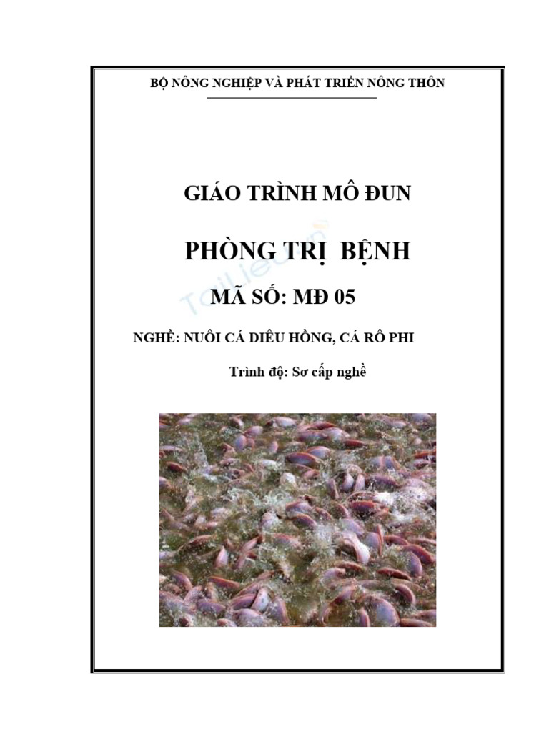 Giao Trinh md05 Phong Tri Benh 2989 | PDF