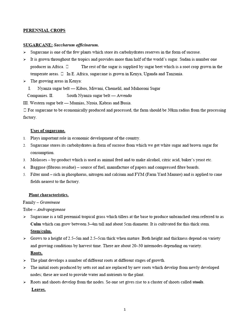PERENNIAL CROPS NOTES | PDF | Coffee | Sugarcane