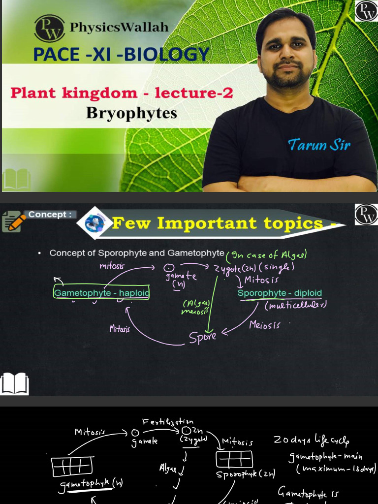 Plant Kingdom 02 - Bryophytes - Class 11 - NEET - PACE SERIES PDF | PDF Plant Kingdom 02 - Bryophytes - Class 11 - NEET - PACE SERIES PDF | PDF
