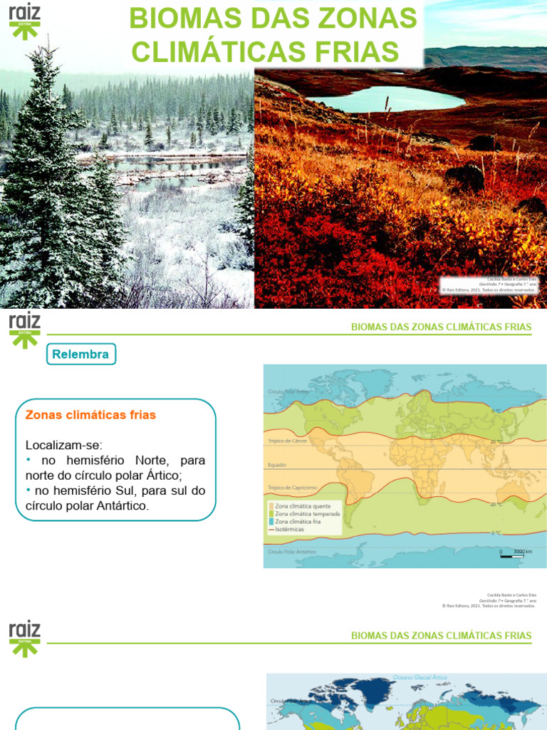 Biomas Frios: Floresta de Coníferas e Tundra | PDF | Florestas | Clima