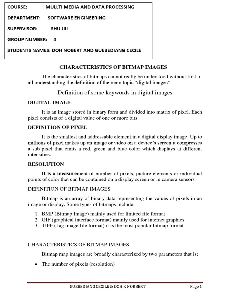 CHARACTERISTICS OF BITMAP | Download Free PDF | Pixel | Imaging