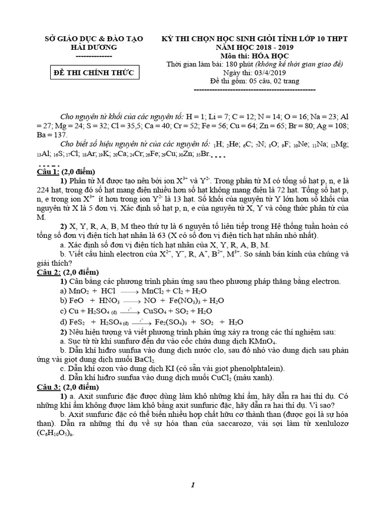 De Hoa 10 - 2019 74201914 | PDF